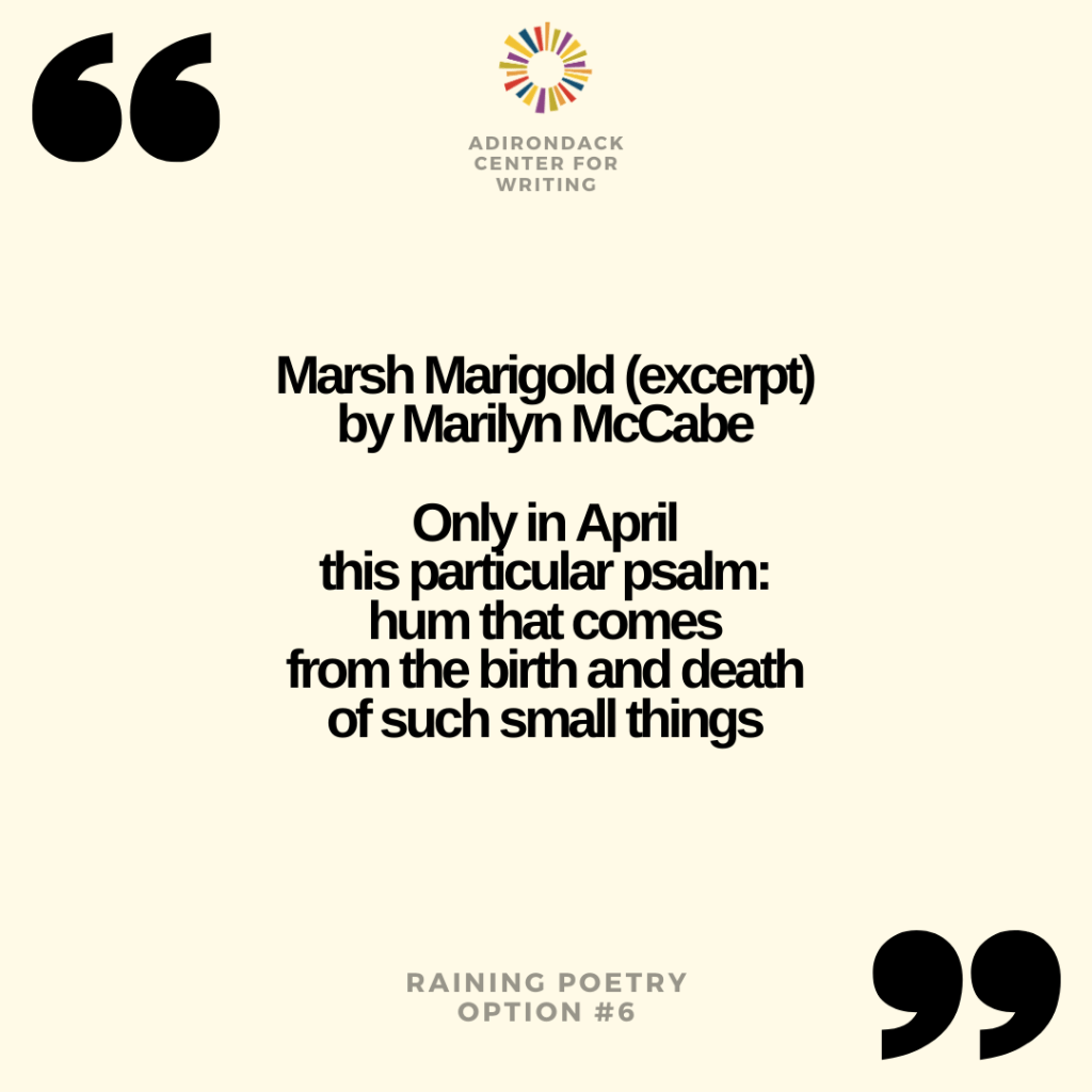 Raining Poetry Project